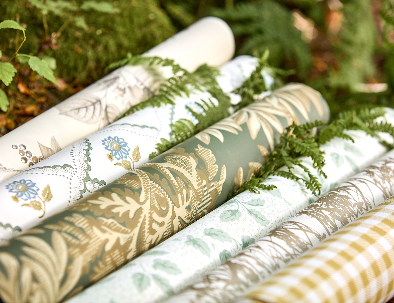 Sanderson | The Official Home