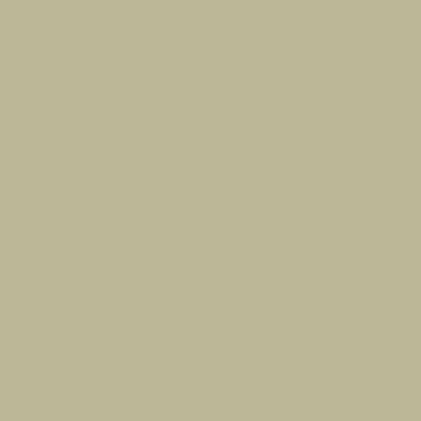 Zoffany Paint - Samples Fennel Fennel Paint | Zoffany by Sanderson Design