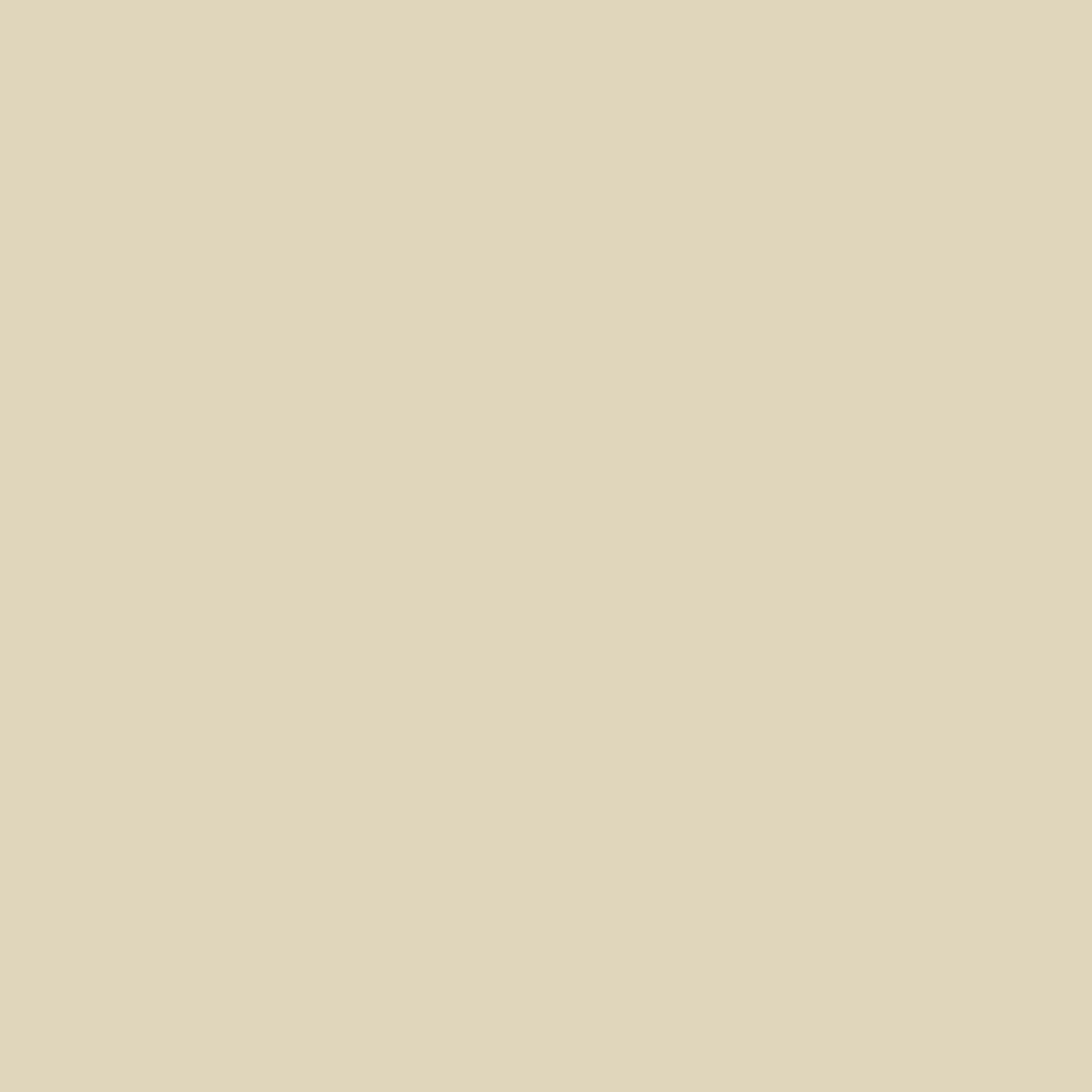 Zoffany Paint - True Matt Emulsion Silt Green Silt Green Paint ...