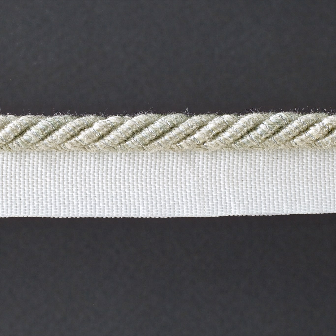Flanged Cord Silver Trimmings | Zoffany by Sanderson Design